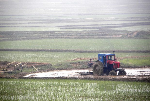 North Korea fuel shortage forces farm workers to till by hand